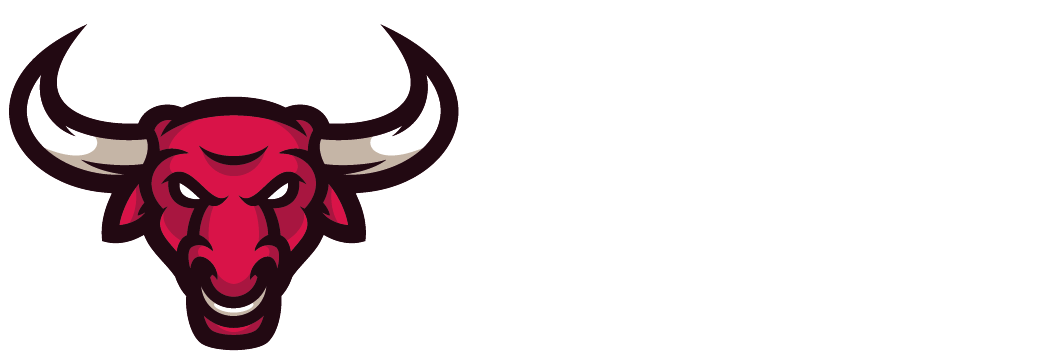 Bull Flow™ | Official Website